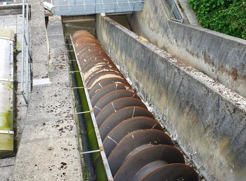 Case study: Bearing damage in 30 RPM screw pumps